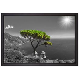 Pixxprint Leinwandbild Baum am Mittelmeer