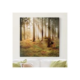 Bilderdepot24 Leinwandbild Wald Natur Modern Morning Forest grün braun Bild auf Leinwand XXL