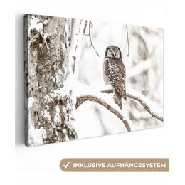 OneMillionCanvasses® OneMillionCanvasses® Leinwandbild Eule