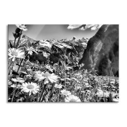 Pixxprint Glasbild Wunderschöne Blumen Alpenwiese