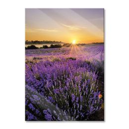 Pixxprint Glasbild Lavendelfeld in Frankreich