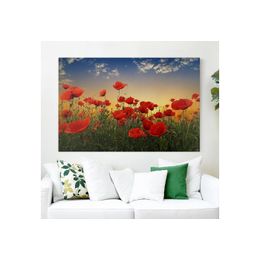 Bilderdepot24 Leinwandbild Blumen Modern Mohnblumenfeld Sonnenuntergang rot Bild auf Leinwand XXL