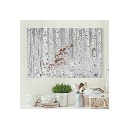 Bilderdepot24 Leinwandbild Wald Baum Natur Modern Birken Herbst grün Bild auf Leinwand Groß XXL