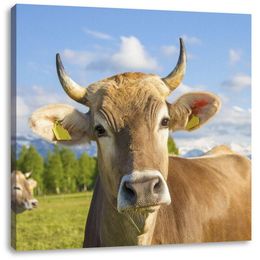 Pixxprint Leinwandbild Neugierige Kuh auf Weide im Allgäu