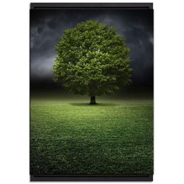 Pixxprint Leinwandbild einzelner Baum auf grüner Wiese