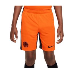 Nike Sporthose Inter Mailand Short UCL 2023/2024 Kids