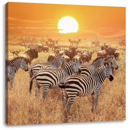Pixxprint Leinwandbild Zebraherde Savanne bei Sonnenuntergang