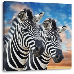 Pixxprint Leinwandbild Zebra Pärchen