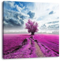 Pixxprint Leinwandbild Pinkes Feld mit pinkem Baum