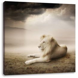 Pixxprint Leinwandbild Stolzer weißer Löwenkönig