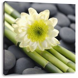 Pixxprint Leinwandbild Kleine Blüte auf Bambus