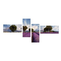 Bilderdepot24 Leinwandbild Lavendelfeld in der Provence
