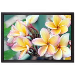 Pixxprint Leinwandbild Monoi Blüten auf Hawaii