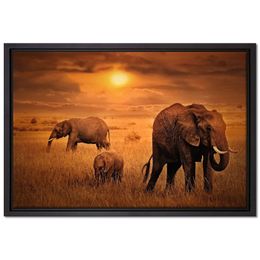 Pixxprint Leinwandbild Elefanten in der Savanne