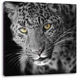 Pixxprint Leinwandbild prächtig anmutiger Leopard