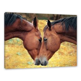 Pixxprint Leinwandbild zwei schmusende Pferde