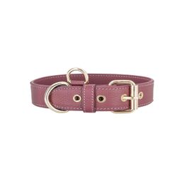 Belly´s Hunde-Halsband Hundehalsband aus Leder Doppellagiges Leder XXS-XL -Stylisch mit goldenen Accesoires in vielen Farben und Größen
