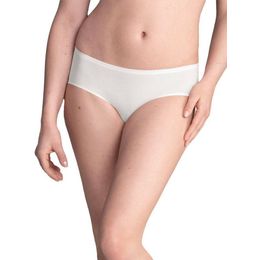 Rosa Faia Panty 2er Pack Hipster Essential (Packung