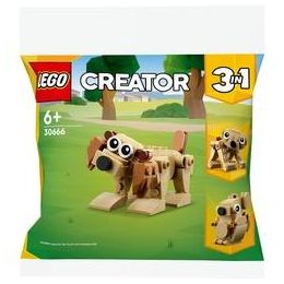 Lego Creator 30666 Geschenkset mit Tieren