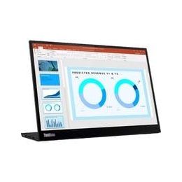 Lenovo ThinkVision M14d, LED-Monitor 36 cm (14 Zoll), schwarz, IPS, 2x USB-C