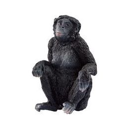 Schleich Wild Life Bonobo Weibchen, Spielfigur Serie: Wild Life Art: Spielfigur Altersangabe: ab 36 Monaten Zielgruppe: Schulkinder, Kindergartenkinder