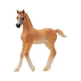 Schleich Horse Club Araber Fohlen, Spielfigur