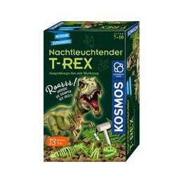 Kosmos Nachtleuchtender T-REX, Experimentierkasten