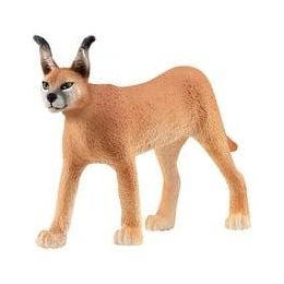 Schleich Wild Life Karakal Weibchen, Spielfigur Serie: Wild Life Art: Spielfigur Altersangabe: ab 36 Monaten Zielgruppe: Kindergartenkinder