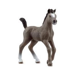 Schleich Horse Club Cheval de Selle Francais Fohlen, Spielfigur