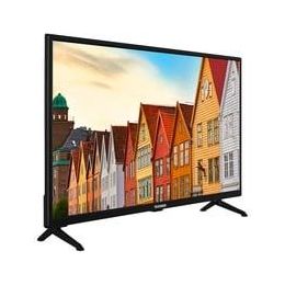 Telefunken XF32SN550SD, LED-Fernseher 80 cm (32 Zoll), schwarz, FullHD, Triple Tuner, SmartTV, DVD-Spieler Sichtbares Bild: 80 cm (32") Auflösung: 1920 x 1080 Pixel Format: 16:9