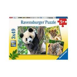 Ravensburger Kinderpuzzle Panda, Tiger und Löwe 3x 49 Teile Teile: 147 (3x 49) Altersangabe: ab 5 Jahren