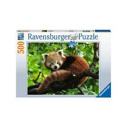 Ravensburger Puzzle Süßer roter Panda 500 Teile Teile: 500 Altersangabe: ab 12 Jahren