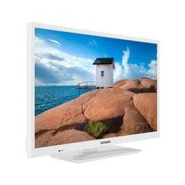 Telefunken XH24SN550MV-W, LED-Fernseher 60 cm (24 Zoll), weiß, WXGA, Triple Tuner, HDR Sichtbares Bild: 60 cm (24") Auflösung: 1366 x 768 Pixel Format: 16:9