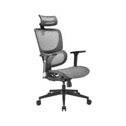 Sharkoon Bürostuhl OfficePal C30M grau Material: Nylon, Gestell aus Metall Max. Tragfähigkeit: 120 kg Armlehne: 3D Sitzhöhe: 47 - 55 cm