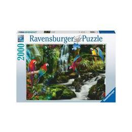 Ravensburger Puzzle: Bunte Papageien im Dschungel (2000 Teile) Teile: 2000 Altersangabe: ab 14 Jahren