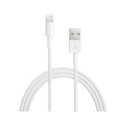 Apple USB 2.0 Adapterkabel, USB-A Stecker > Lightning Stecker wei&szlig;, 0,5 Meter