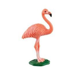 Schleich Wild Life Flamingo, Spielfigur Serie: Wild Life Art: Spielfigur Altersangabe: ab 36 Monaten Zielgruppe: Schulkinder, Kindergartenkinder