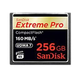 Sandisk CompactFlash Extreme Pro 256 GB, Speicherkarte UDMA 7