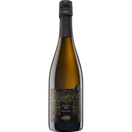 Weingut Fürst Fürst 2019 Elbling Sekt b.a. brut