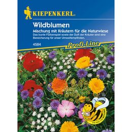 Wildblumen Mischung - Blumensamen - Kiepenkerl