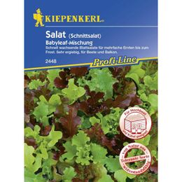 Kiepenkerl Schnittsalat Babyleaf-Mischung Lactuca sativa var. capitata, Inhalt ca. 3 lfd. Meter Gemüsesamen