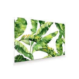 Primedeco Glasbild Wandbild Dschungel Muster mit Aufhängung