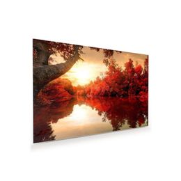 Primedeco Glasbild Wandbild Rote Bäume am Fluss mit Aufhängung