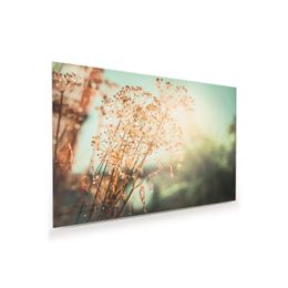 Primedeco Glasbild Wandbild Herbstlicher Sonnenuntergang mit Aufhängung