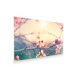 Primedeco Glasbild Wandbild Zweige im Frühling mit Aufhängung