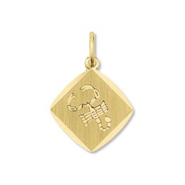 ONE ELEMENT Kette mit Anhänger Skorpion Sternzeichen Anhänger aus 333 Gelbgold, Schmuckset - Set mit verstellbarer Halskette, goldfarben