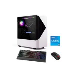 Hyrican Horizon 7129 Gaming-PC (Intel® Core i5 13400F, RTX 4060Ti, 16 GB RAM, 1000 GB SSD, Wasserkühlung, DDR5, Windows 11), schwarz|weiß