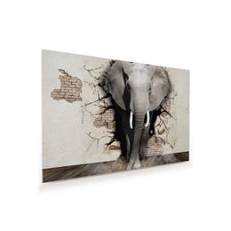 Primedeco Glasbild Wandbild Elefant 3D mit Aufhängung