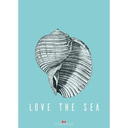 Delius Klasing Verlag Maritimes Notizbuch - Illustration: Muschel, Spruch: Love the Sea, Gebunden