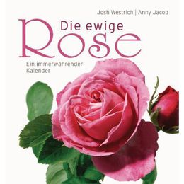 Bassermann Die ewige Rose - Josh Westrich, Gebunden